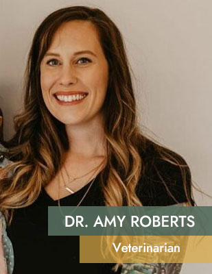 DR. AMY ROBERTS - Vet in Vernon | Silver Star Animal Care Clinic
