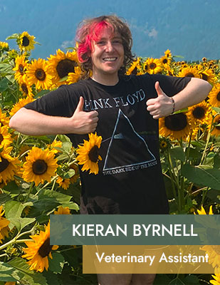 Team - Vet in Vernon | Silver Star Animal Care Clinic