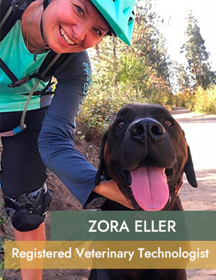 Team - Vet in Vernon | Silver Star Animal Care Clinic